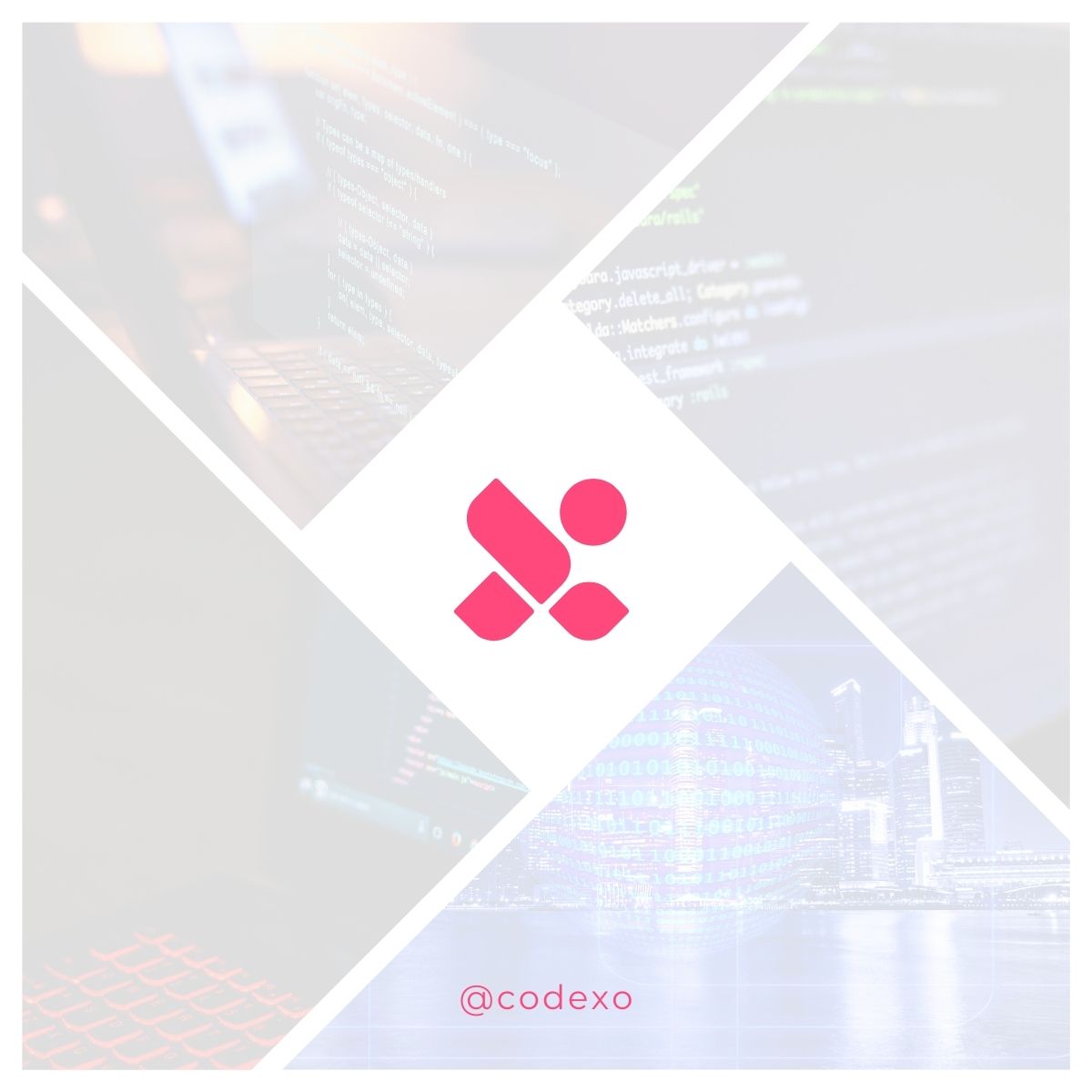 O nas - Codexo | zakodujemy Twoją przyszłość | Strony www, sklepy ...